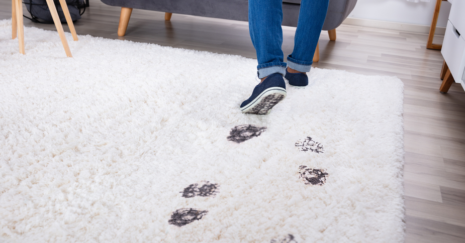 Portable Commercial Vacuum Cleaner NSS Model M-1 ''Pig'' - Commercial ...