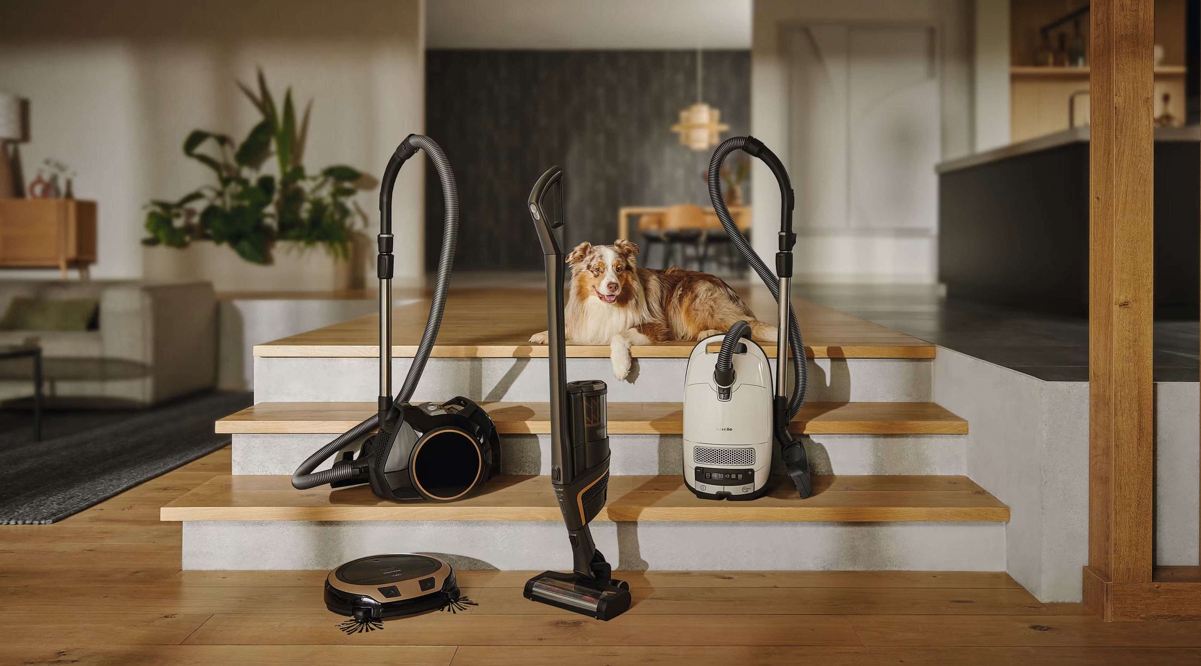 Choosing The Right Residential Vacuum – BestVacuum.com